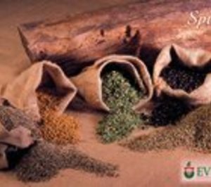 Evesa presupuesta nuevas inversiones para mejorar procesos - Noticias ...