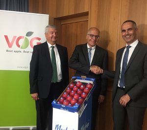 VOG: proyecto estratégico varietal y nuevo director al frente del consorcio