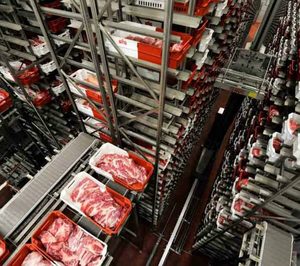 Fribin analiza inversiones para la renovación de la línea de vacuno