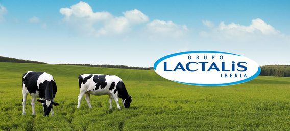 GRUPO LACTALIS IBERIA, S.A. - Empresas de Alimentación en Alimarket ...