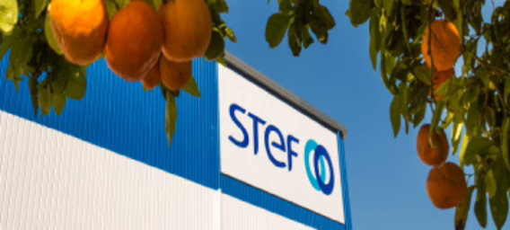 STEF VALENCIA - Establecimientos de Logística en Alimarket, información ...