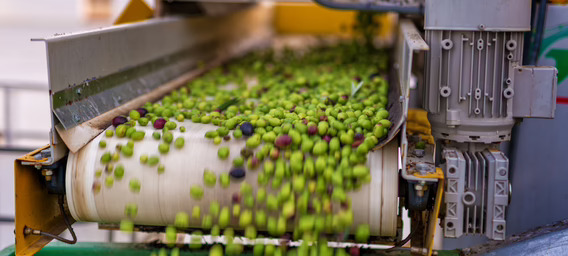 GELAGRI IBERICA, S.L - Empresas de Alimentación en Alimarket ...