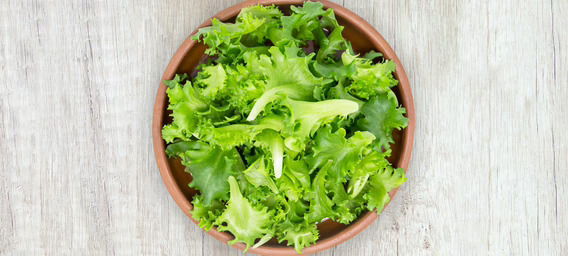 AGROLIMEN, S.A. - GRUPO - Empresas de Alimentación en Alimarket ...