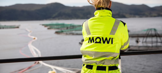 ALDI JOANE - Establecimientos de Alimentación en Alimarket, información ...